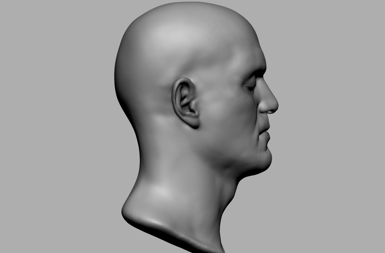 ArtStation - Male Head Collection | Resources