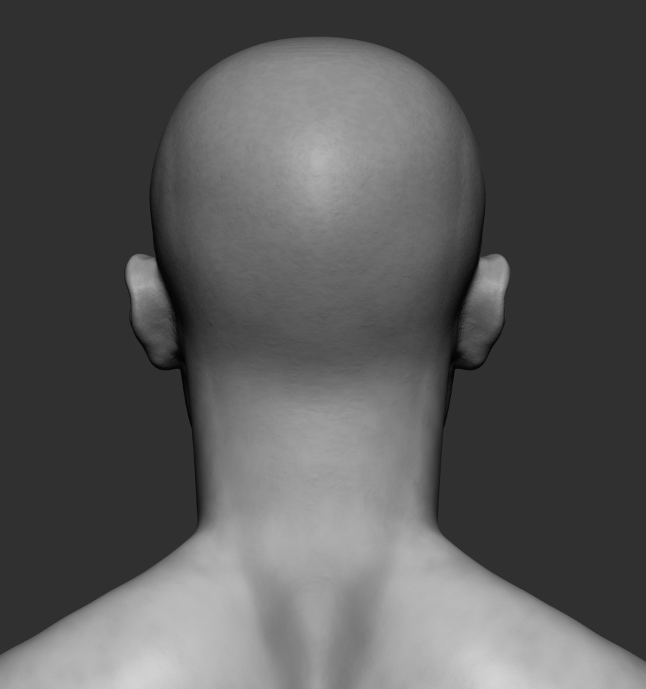 ArtStation - Male Head Collection | Resources