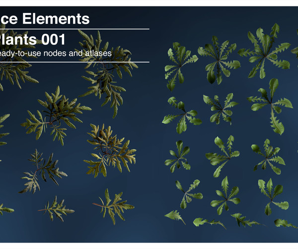 ArtStation - Substance Elements | Forest Plants 001 | Resources
