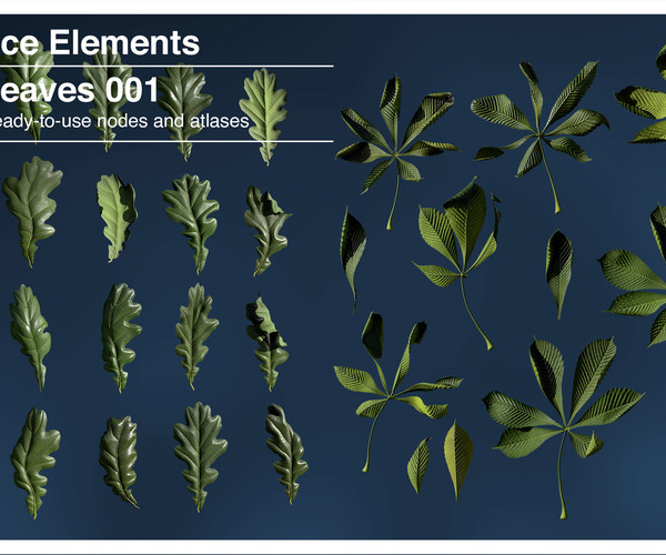 ArtStation - Substance Elements | Forest Leaves 001 | Resources