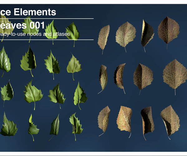 ArtStation - Substance Elements | Forest Leaves 001 | Resources