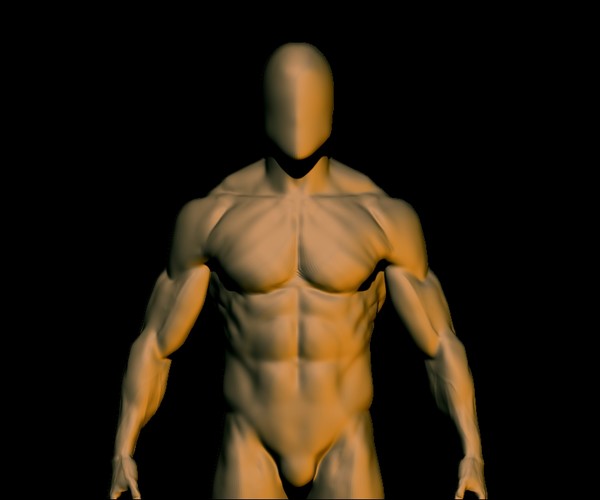 ArtStation - hipoly anatomy sculpting | Resources