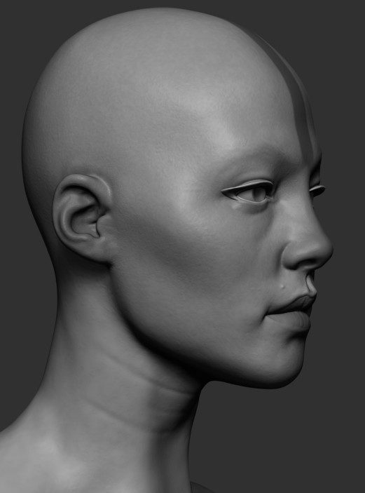 ArtStation - Male Female Head Collection | Resources