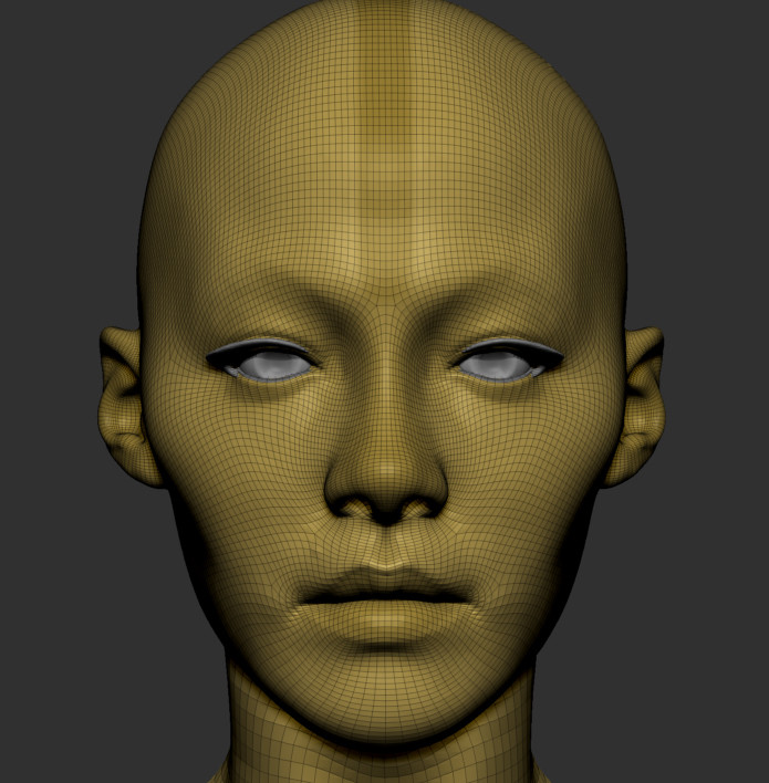 ArtStation - Male Female Head Collection | Resources