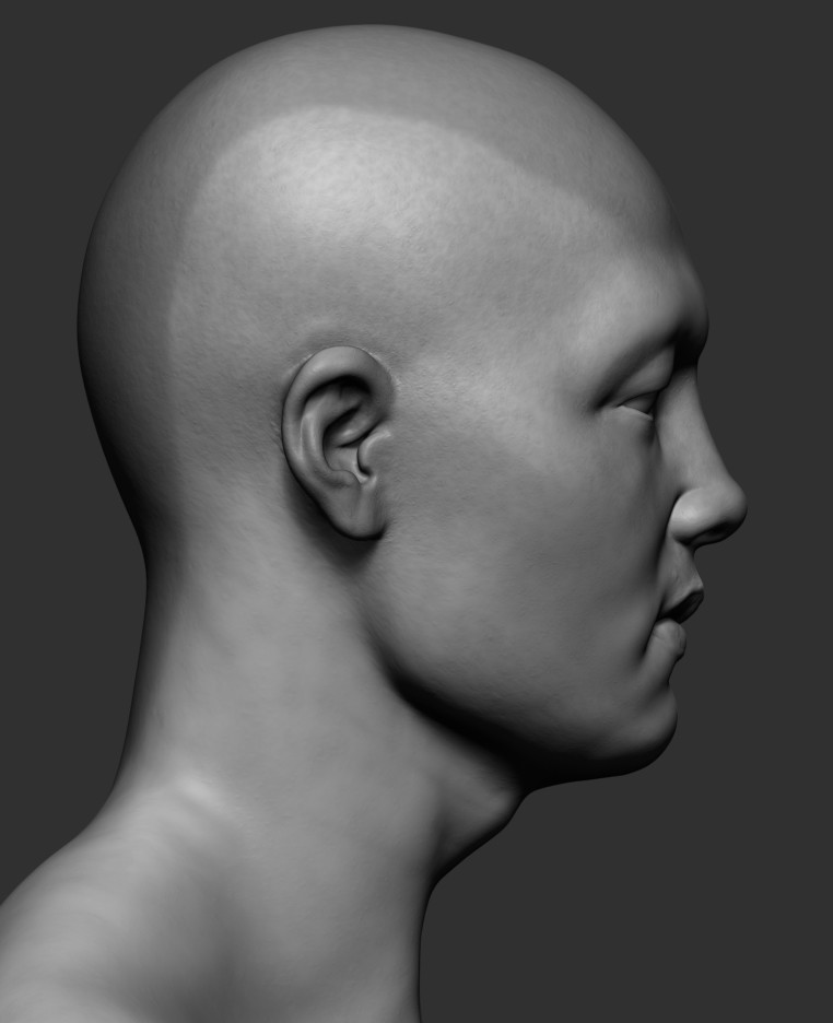 ArtStation - Male Female Head Collection | Resources