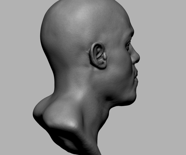 ArtStation - Male Female Head Collection | Resources