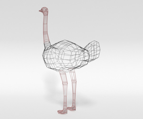 ArtStation - Low Poly Cartoon Ostrich | Resources