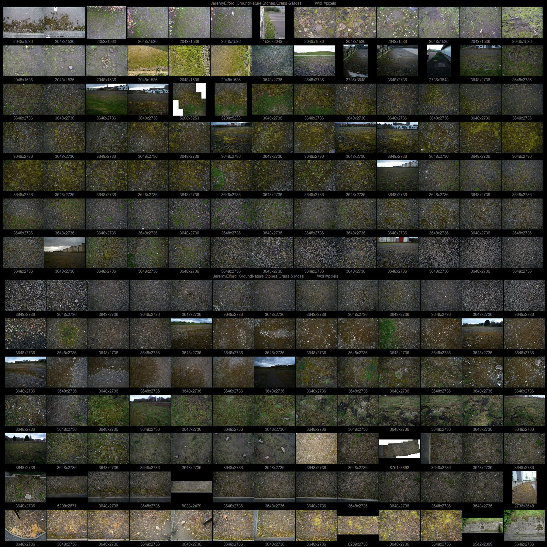 ArtStation - Ground Texture Reference 1 - Nature | Resources