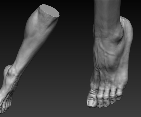 ArtStation - 12 Male Feet | Resources