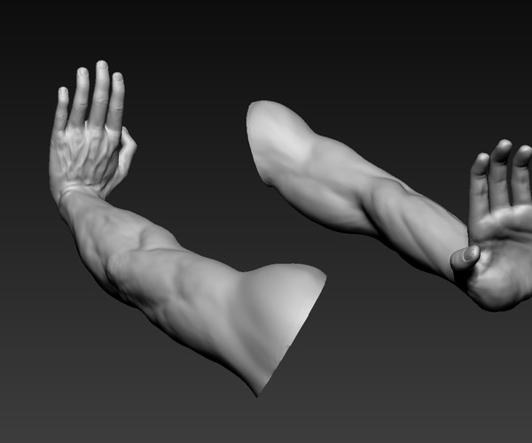 ArtStation - Male Arms 16 Poses | Resources