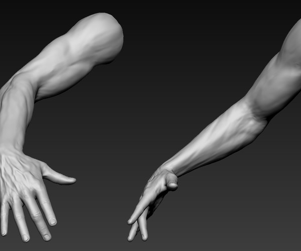ArtStation - Male Arms 16 Poses | Resources