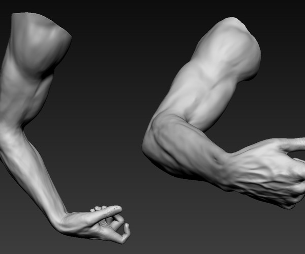 ArtStation - Male Arms 16 Poses | Resources