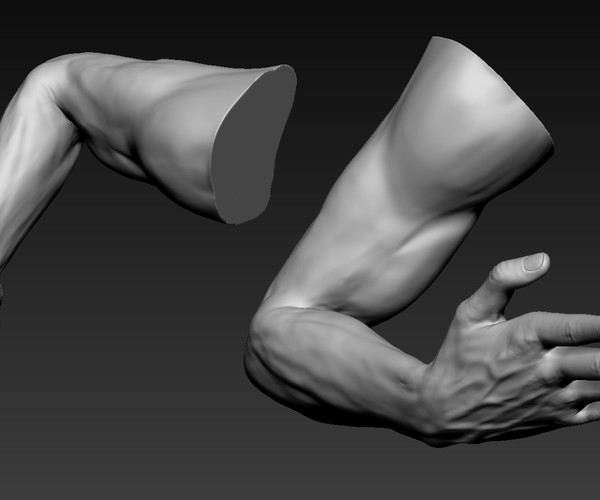ArtStation - Male Arms 16 Poses | Resources