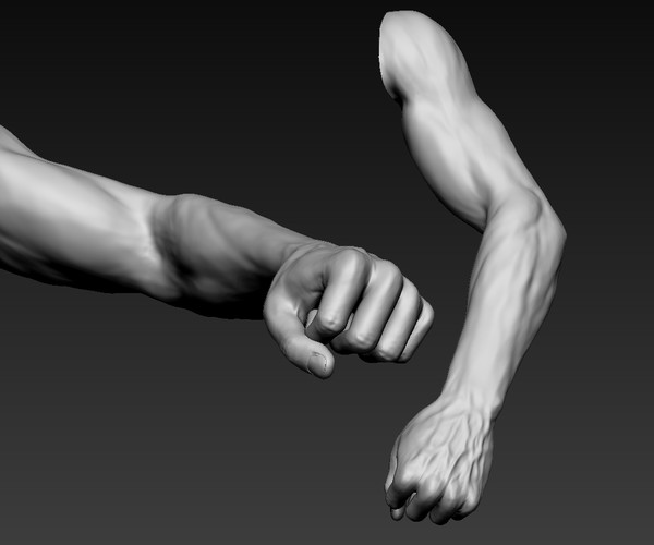 ArtStation - Male Arms 16 Poses | Resources