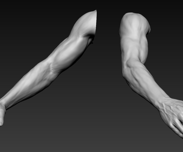 ArtStation - Male Arms 16 Poses | Resources