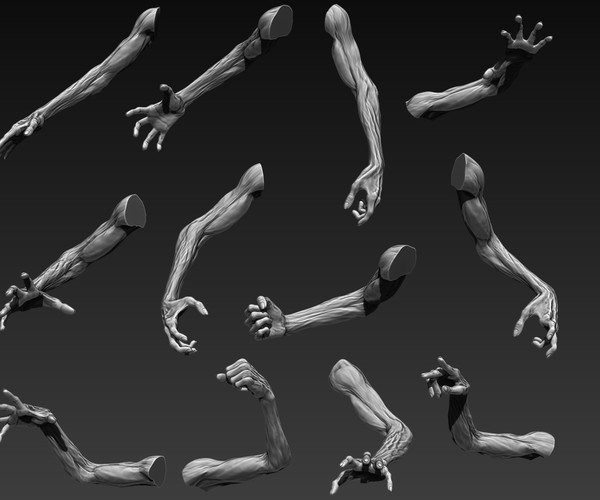 ArtStation - Zombie Arms 12 Poses | Resources