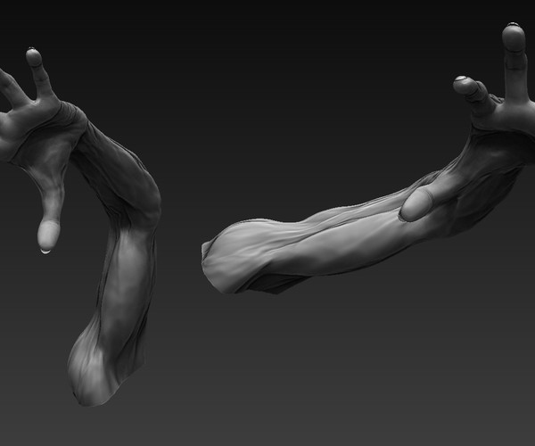 ArtStation - Zombie Arms 12 Poses | Resources