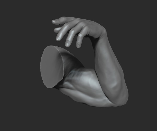 ArtStation - Muscular Male Arms 10 Poses | Resources