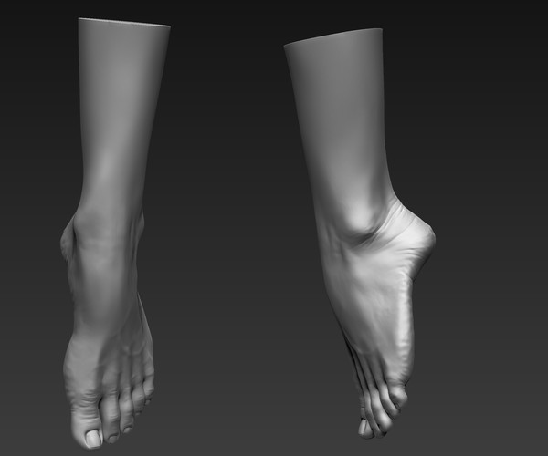 ArtStation - Female Feet 12 Poses | Resources