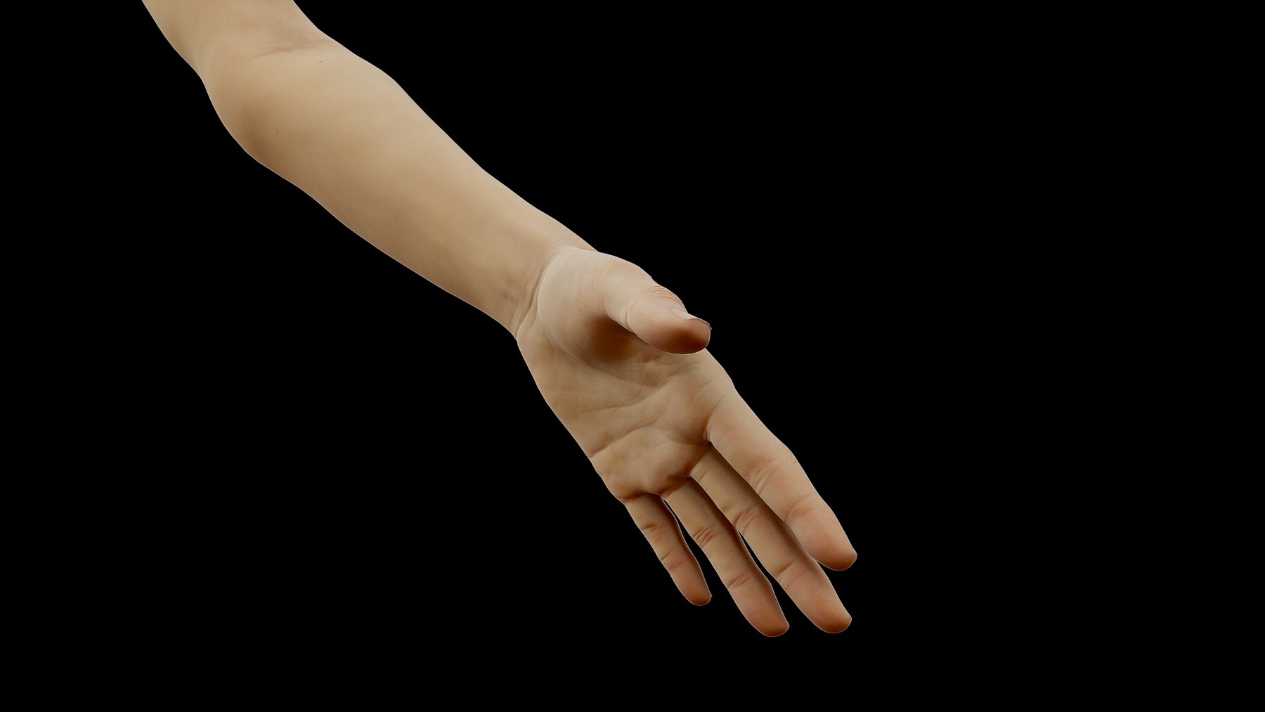 ArtStation - Realistic Female Hands and Arms | Game Assets