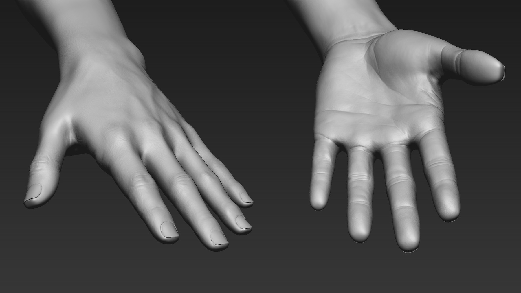 ArtStation - Realistic Female Hands and Arms | Game Assets