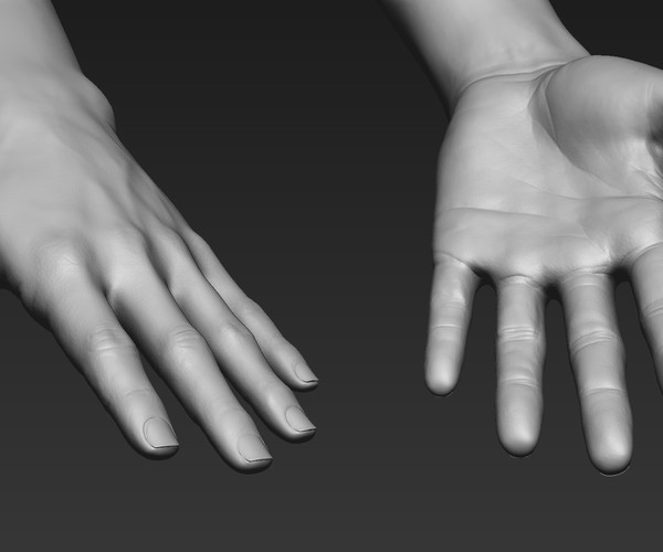 ArtStation - Realistic Female Hands and Arms | Resources
