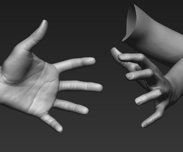 ArtStation - Realistic Female Hands and Arms | Resources