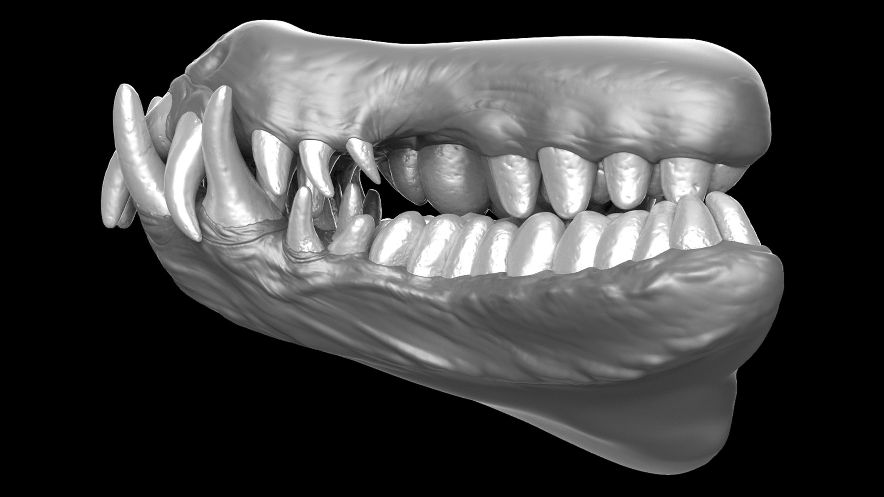 ArtStation - CREATURE KITS: Wolf Fish Teeth & Gums - High Poly OBJ File ...