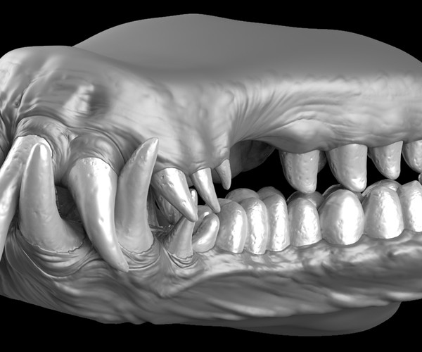 ArtStation - CREATURE KITS: Wolf Fish Teeth & Gums - High Poly OBJ File ...