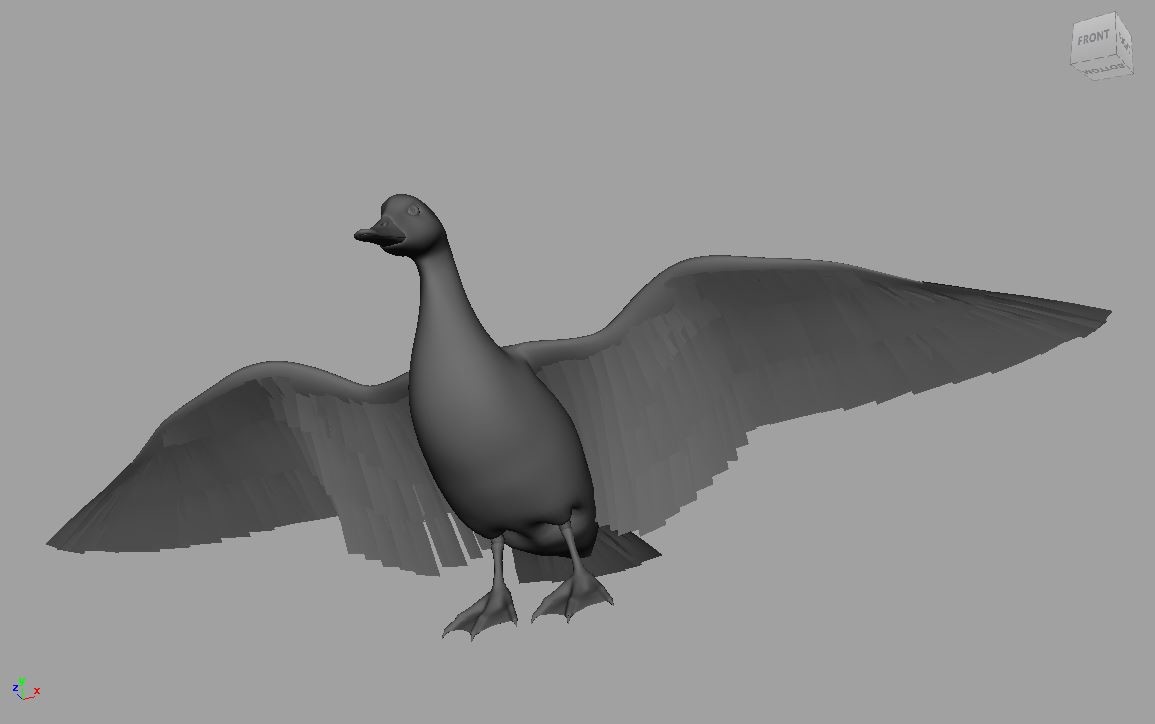 ArtStation - Bird Rig | Resources