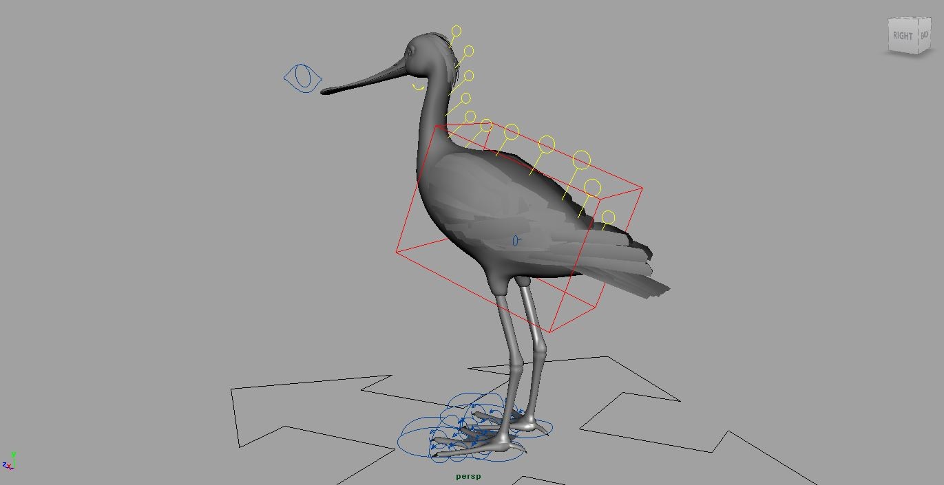 ArtStation - Spoonbill Bird rig | Resources