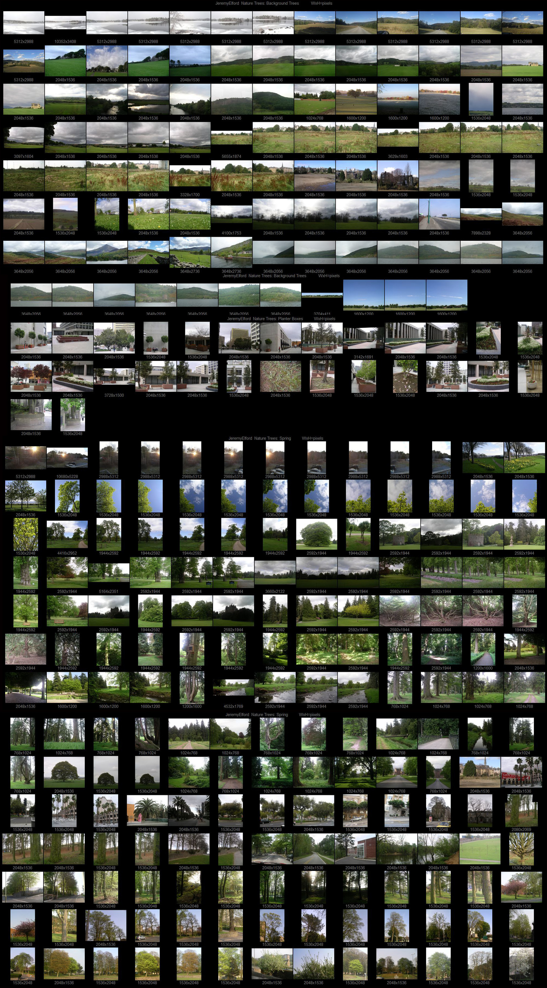 ArtStation - Tree Reference 1 | Resources