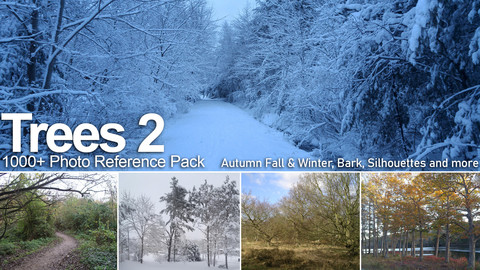 ArtStation - Tree Reference 1 | Resources