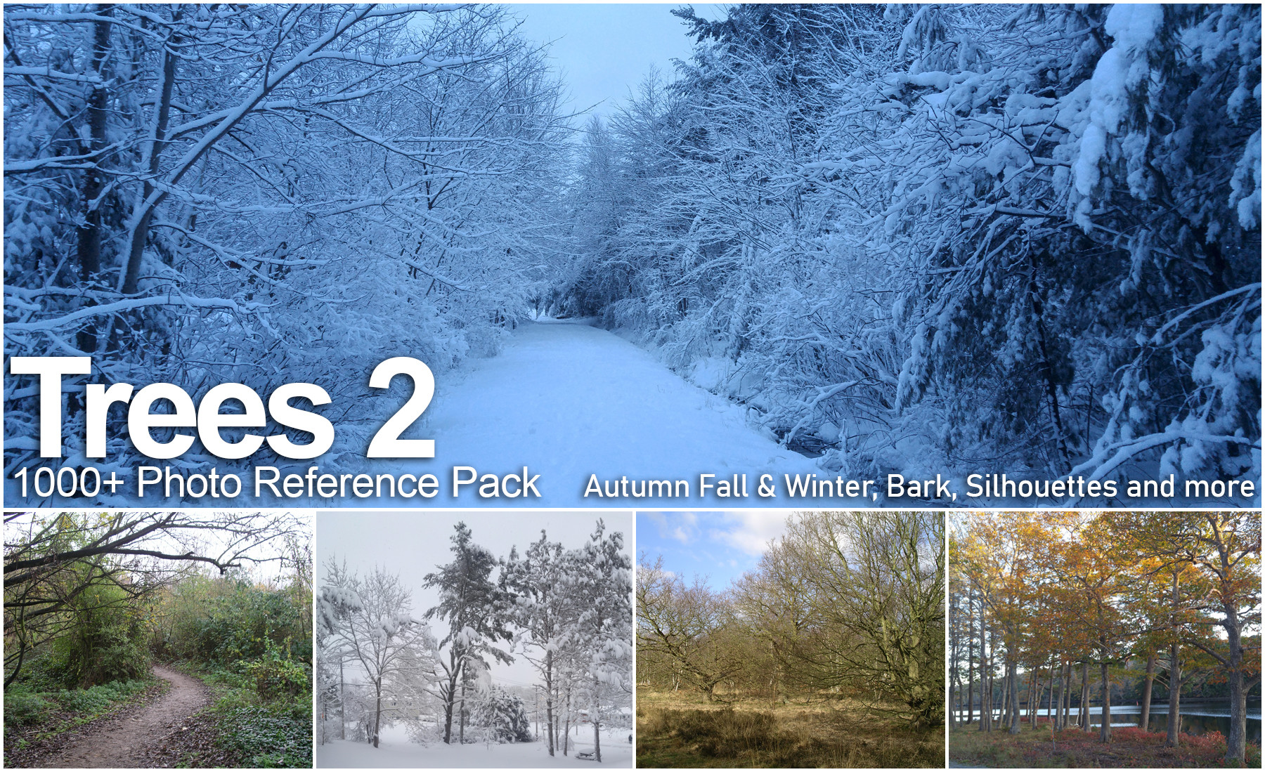 ArtStation - Tree Reference 2 | Resources