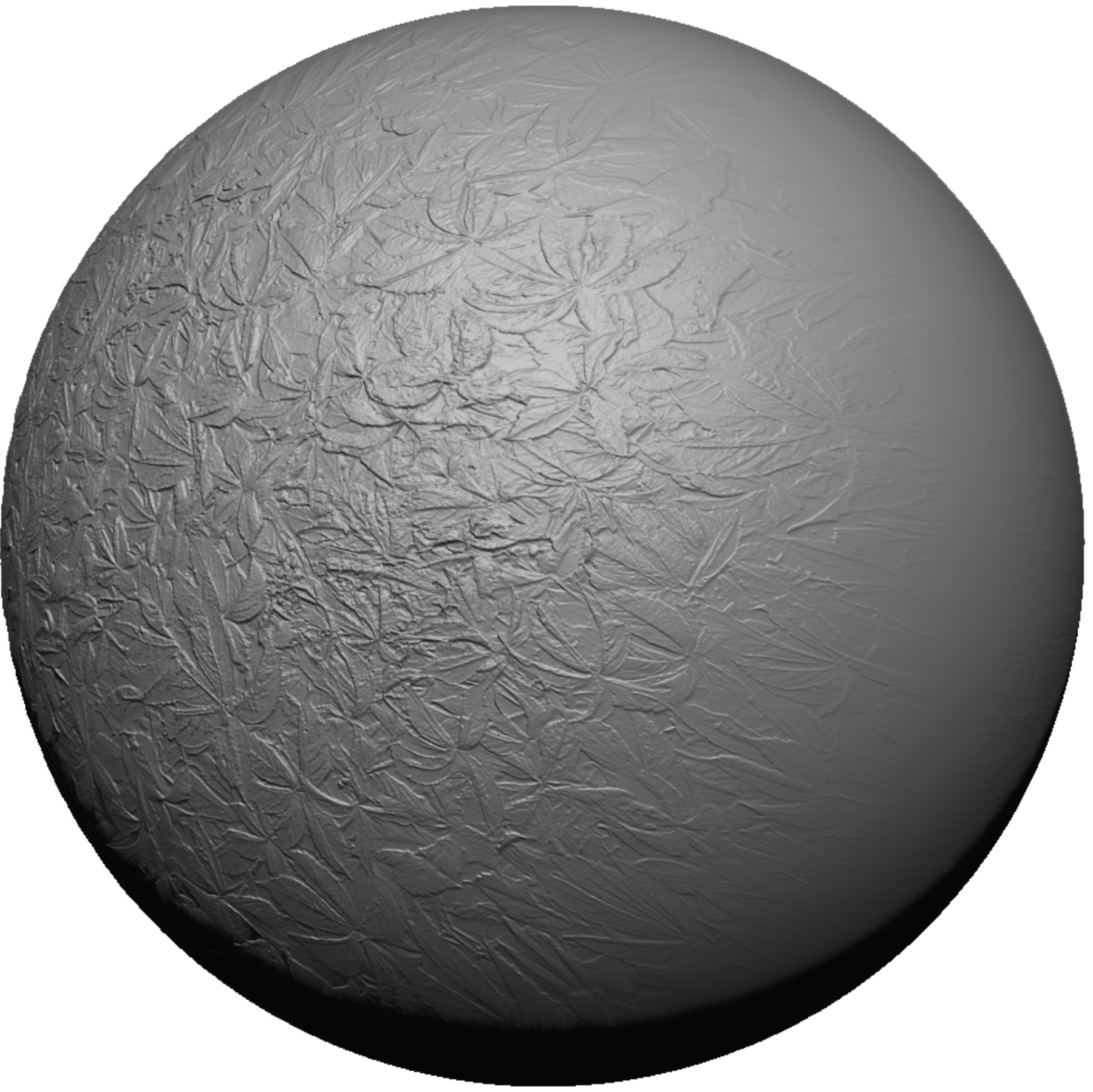 ArtStation - Nature Alphas Volume 01 | Brushes