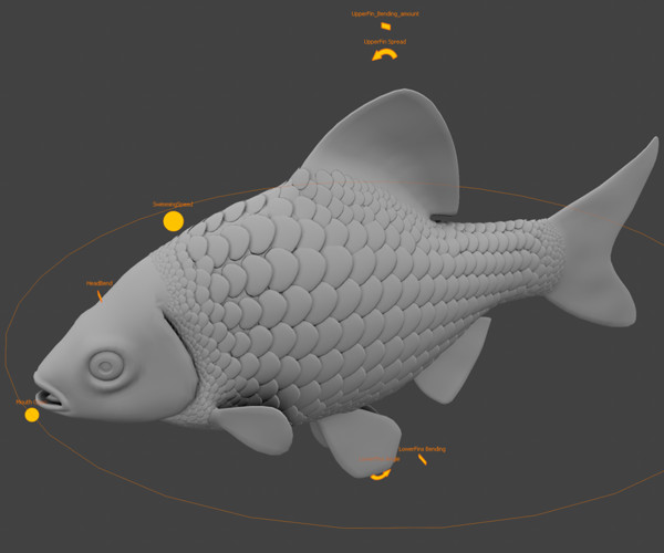ArtStation - Fish rigged in modo | Resources