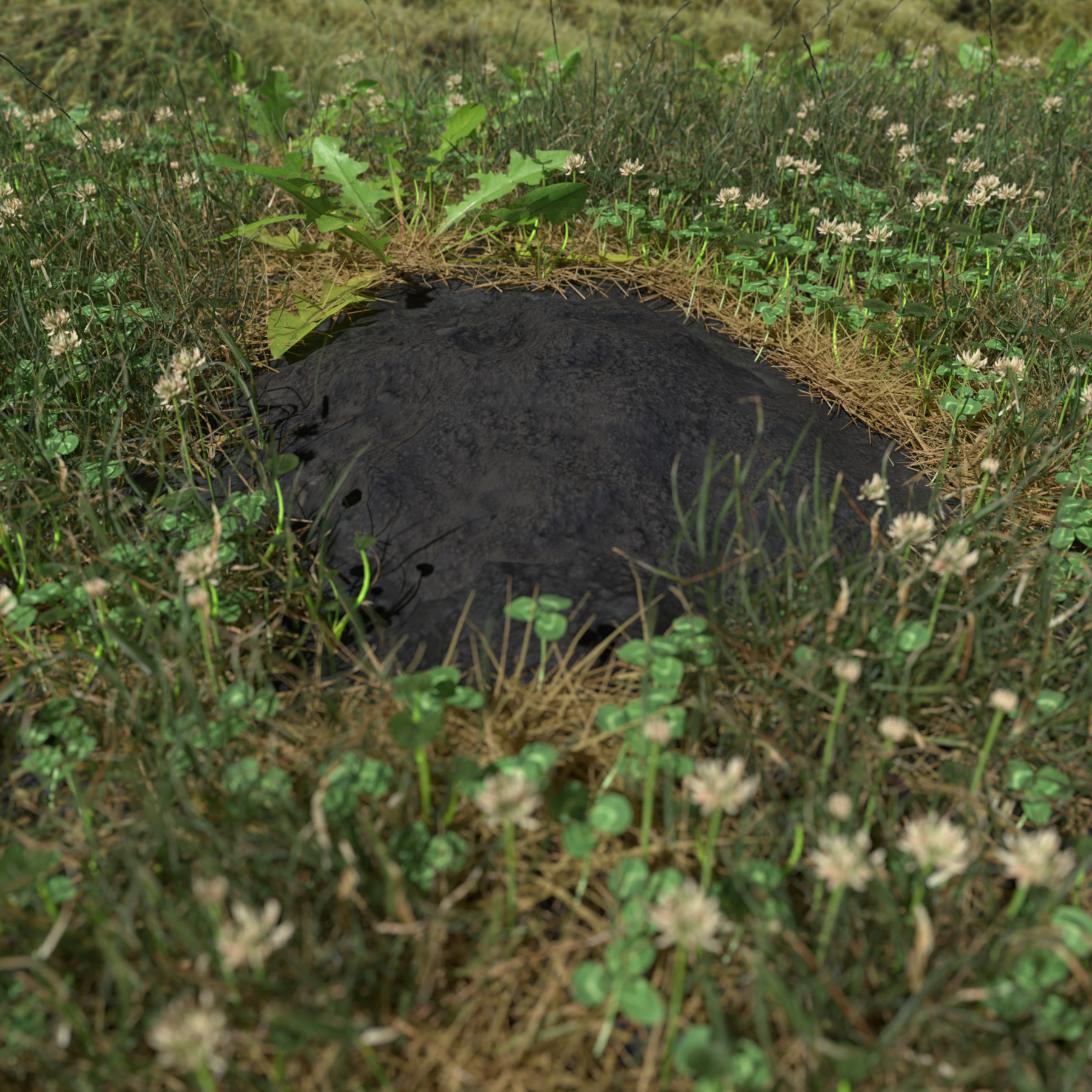 ArtStation - Mole Mound | Game Assets