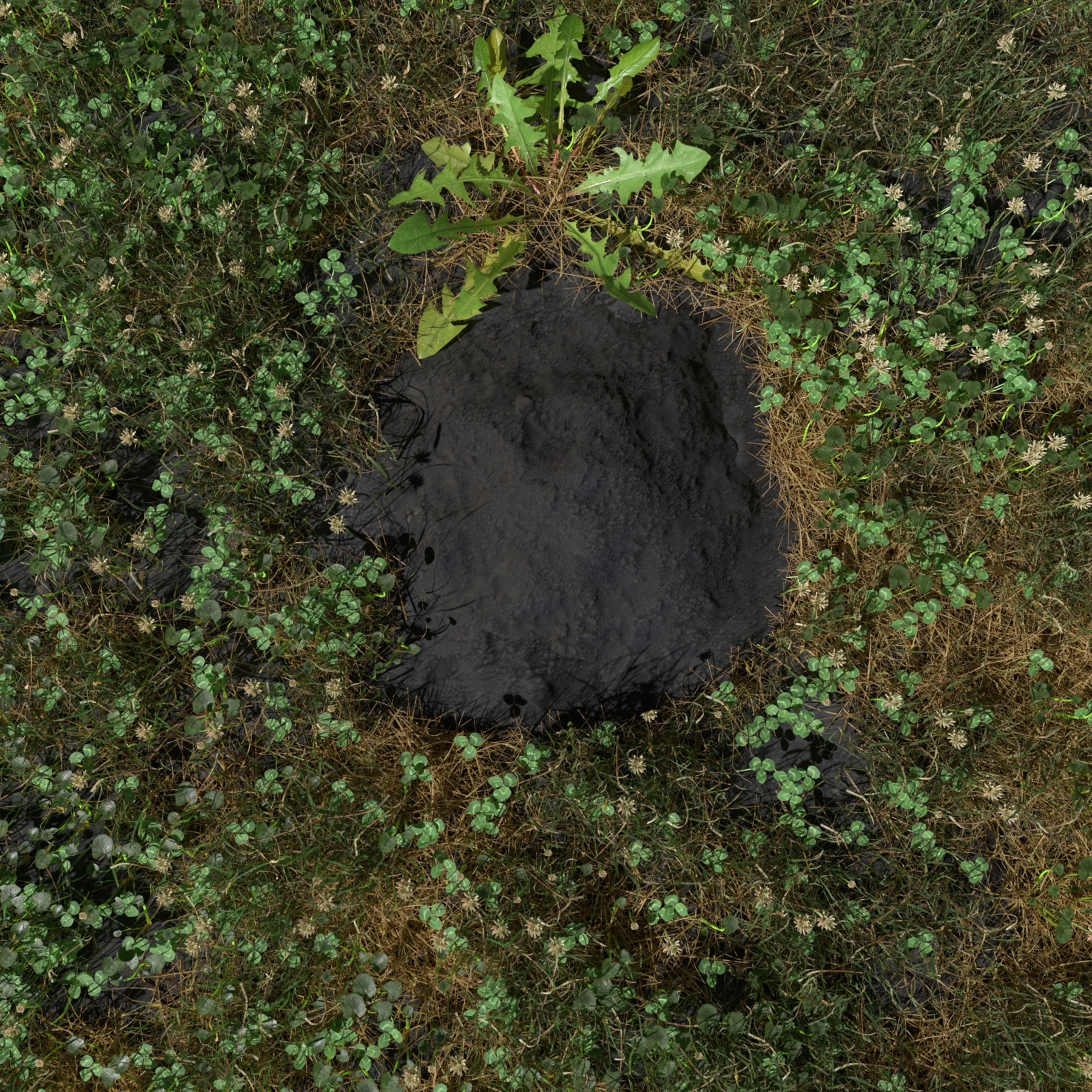 ArtStation - Mole Mound | Game Assets