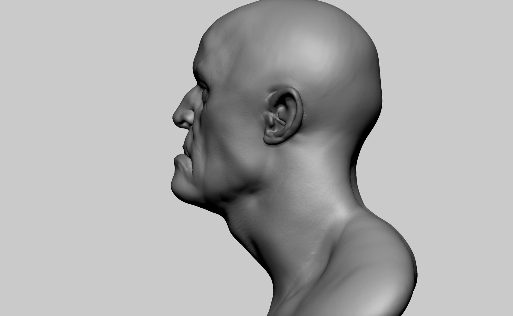 ArtStation - Fantasy Creature Head v5 | Resources