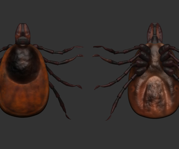 ArtStation - Deer Tick | Resources