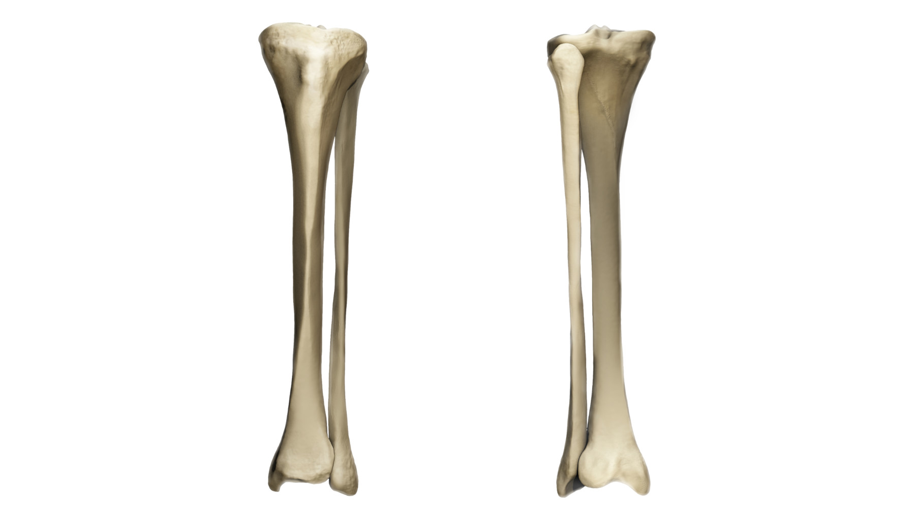 ArtStation - Tibia | Resources