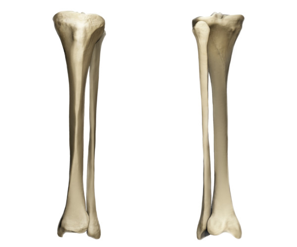 ArtStation - Tibia | Resources