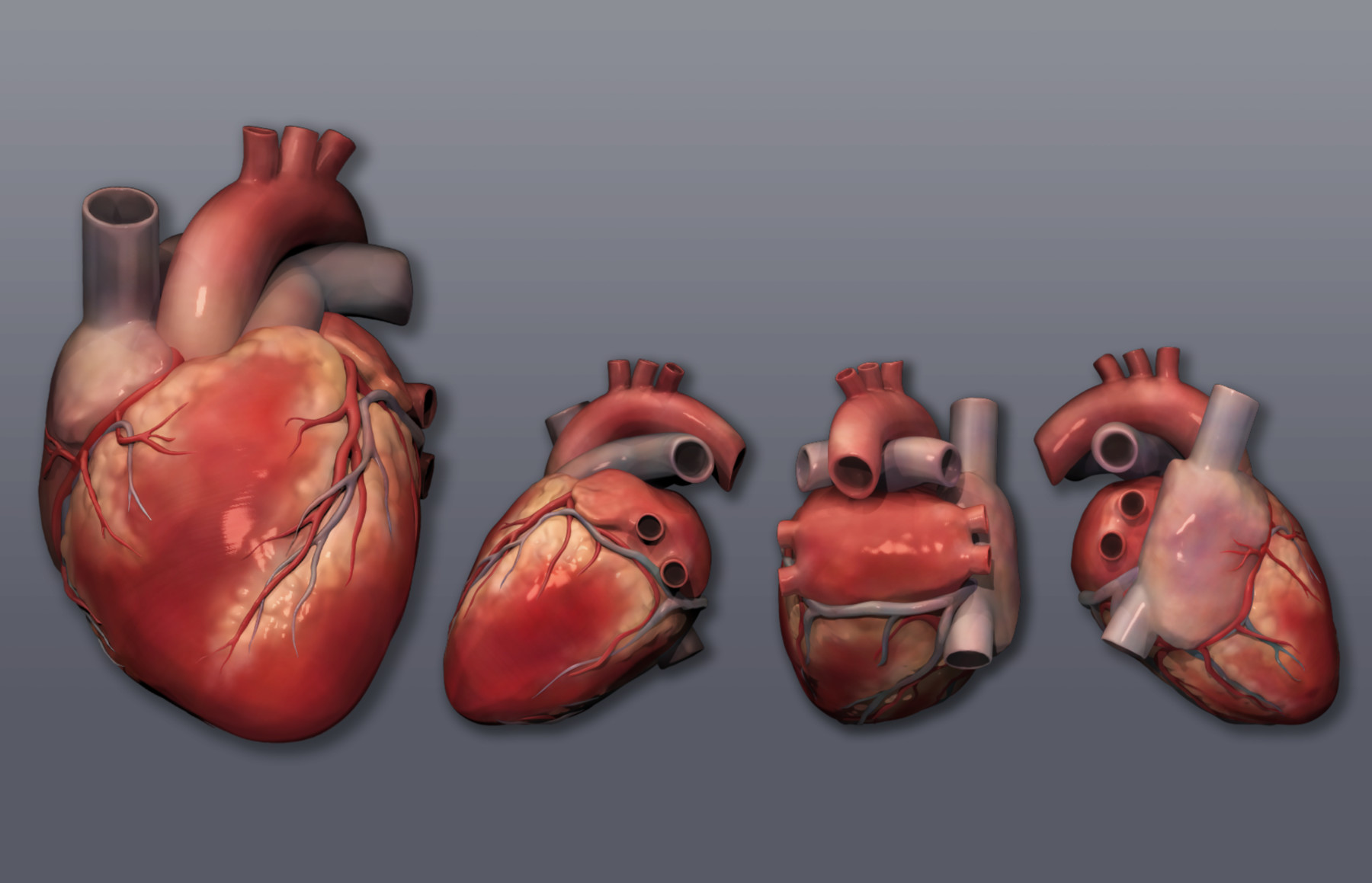 ArtStation - Heart | Resources