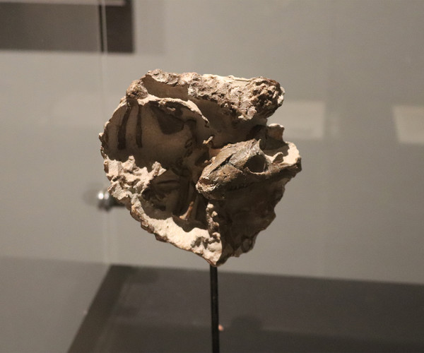 ArtStation - Synapsid Skeleton Reference | Resources