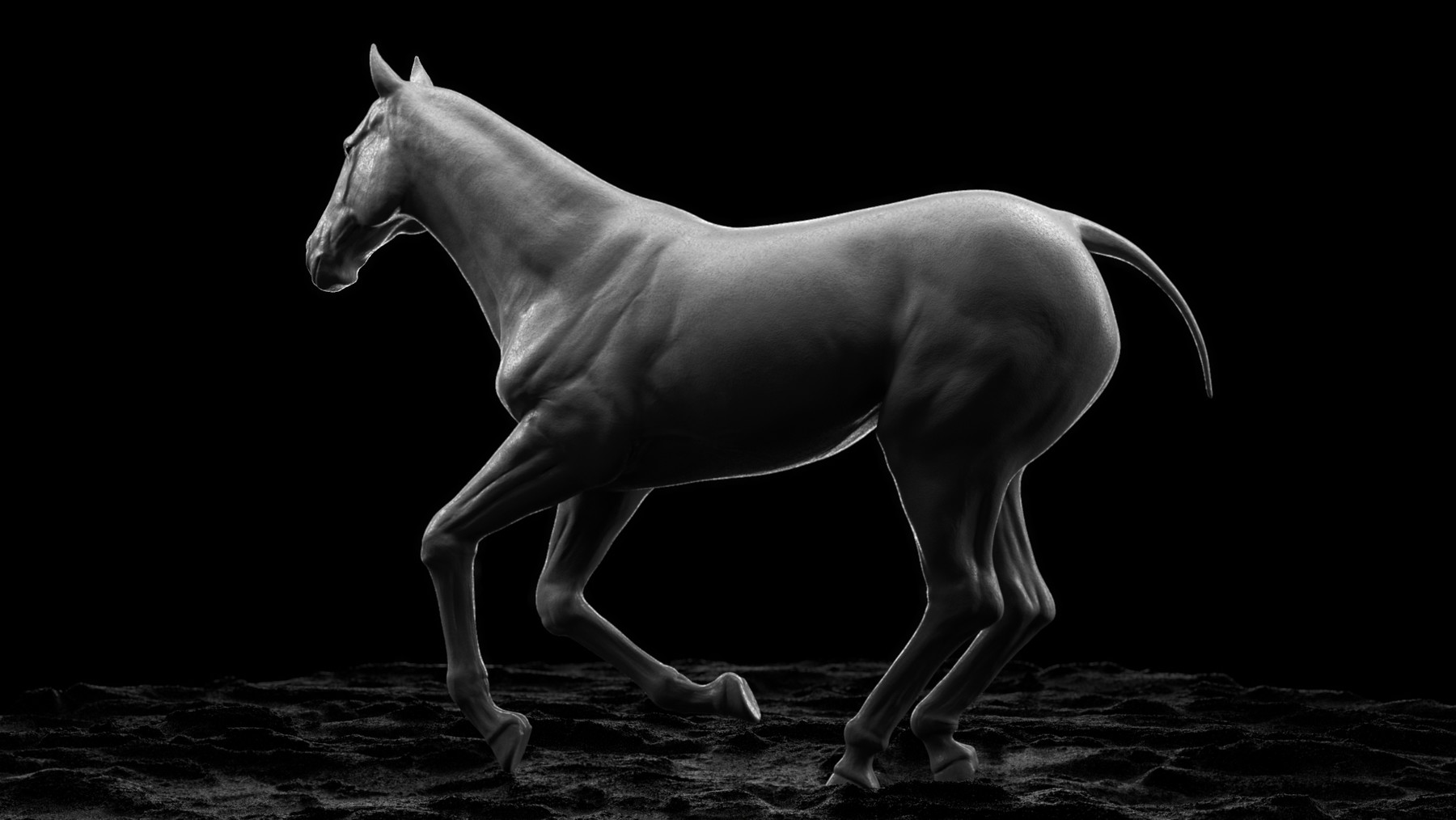 ArtStation - Horse - Free model for personal practice | Resources