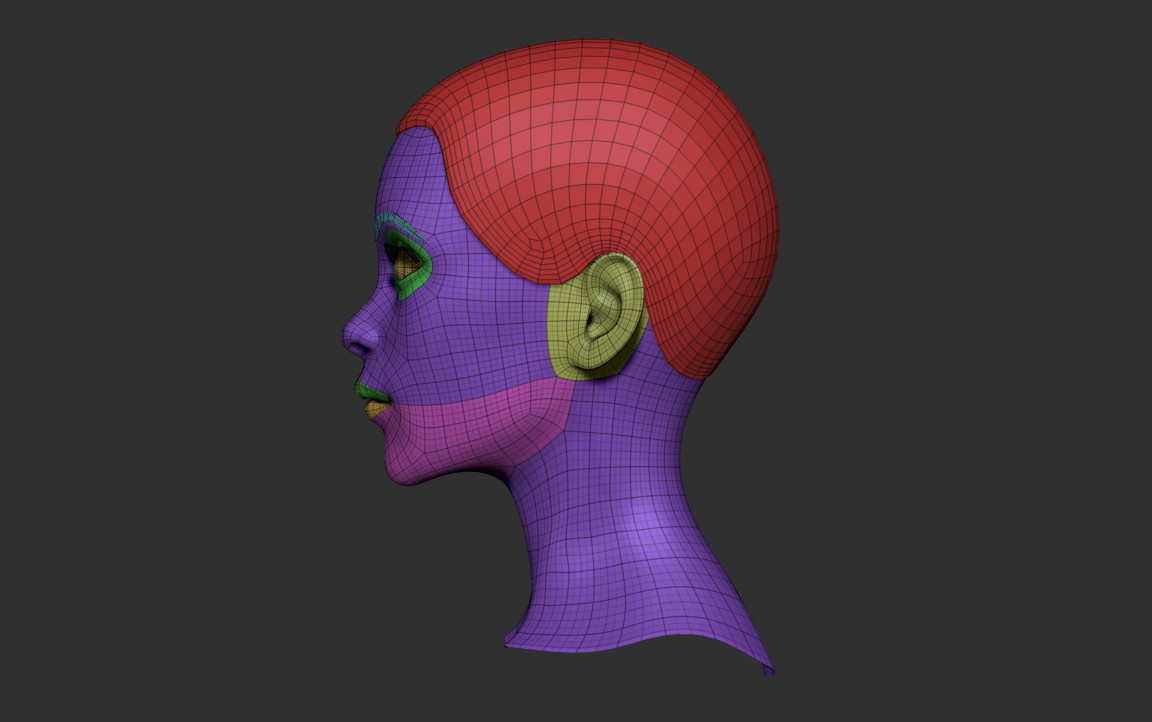 ArtStation - Female head nr 3 base mesh | Resources