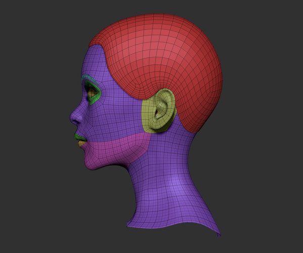 ArtStation - Female head nr 3 base mesh | Resources