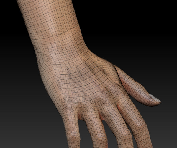 ArtStation - FREE DOWNLOAD: Female hand 37 | Resources