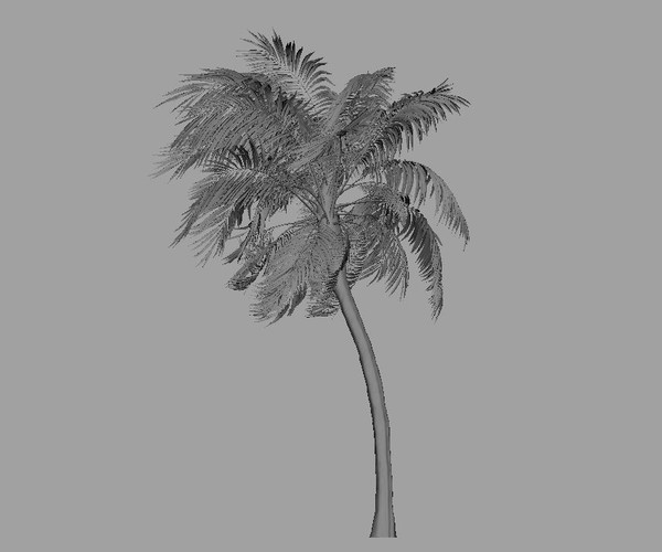 ArtStation - Palm Tree | Resources