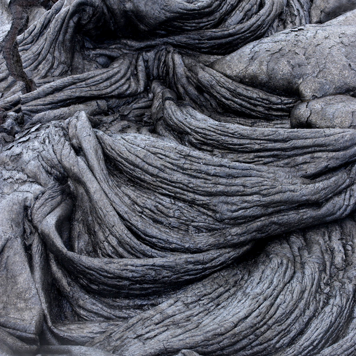 ArtStation - Organics Ultra (200 Images-kitbash-conceptart ) | Artworks